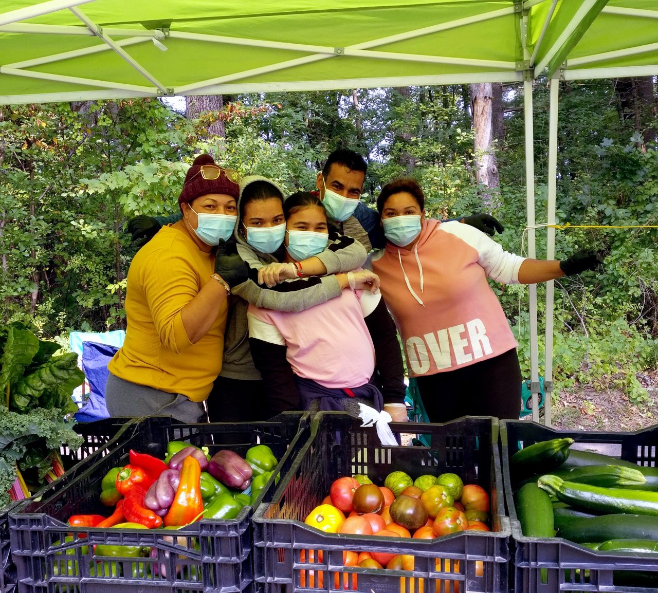 Community Health Solutions - Collaborative for Educational Services